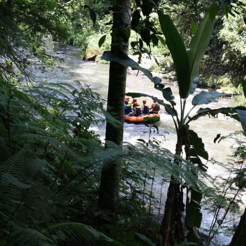 Ubud: White Water Rafting Adventure Tour - Who Will Love This Tour?