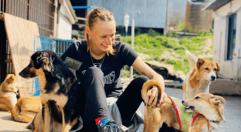Visit our Non-profit animal sanctuary in Kathmandu! - Who Will Love This Experience?