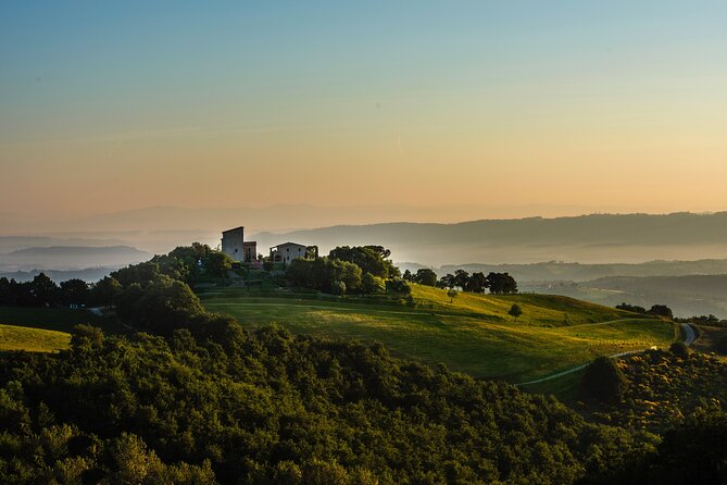 Wine Experience at Torre Bisenzio Winery - Who Will Love This Experience?