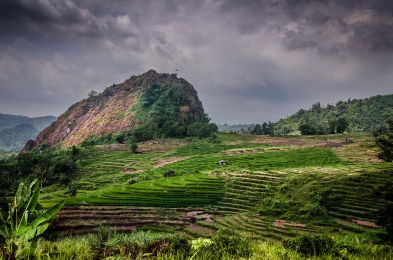 yogyakarta: Selogriyo, Marvel Amidst Java's Lush Terraces - Trekking through Java’s Rice Terraces
