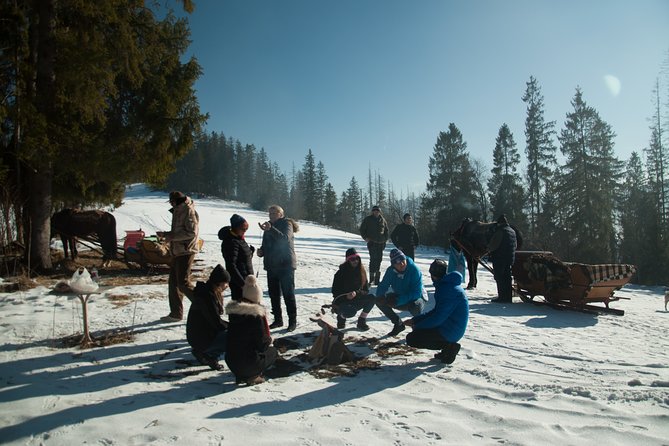 Zakopane and Horse Sleigh Ride in the countryside, private tour from Krakow - Who Will Love This Tour?