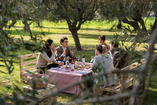 2-Hour Picnic among the Olive Trees with Typical Abruzzese Products - An Overview of the Experience