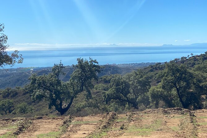 2 Hour Quad/ATV Tour Off-Road Adventure in Mijas - Key Points