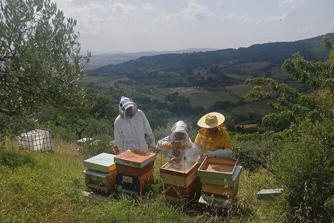 2 hours Beekeeping and Honey Tasting Activities in Assisi - Introduction