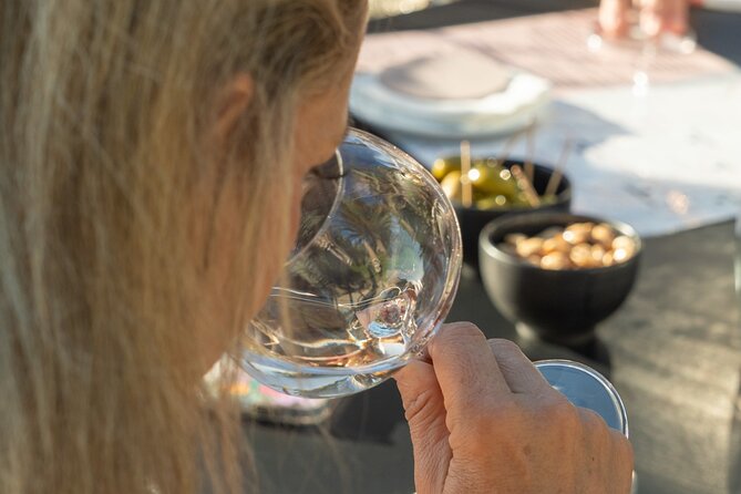 1/2 day, private wine tour, van from Saint Tropez - The Value of a Private, Short Tour