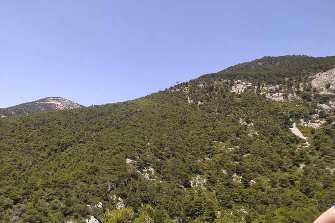 1 Day Parnitha Athens Private Hiking Tour with Hotel Pickup - Authentic Feedback from Past Participants