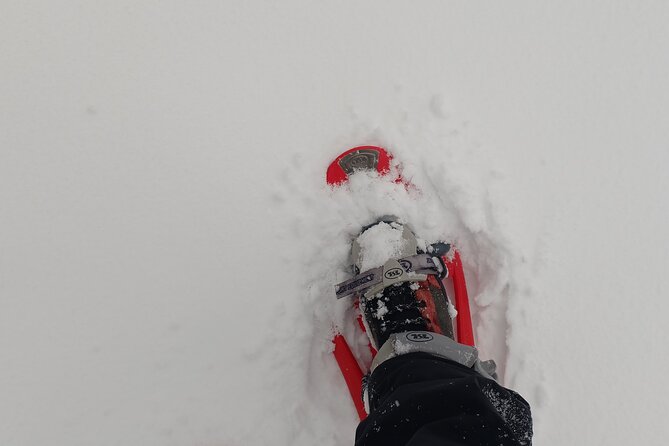 1-day Private Snowshoe Hike in the Gorce Mountains near Krakow - Why This Tour Offers Great Value