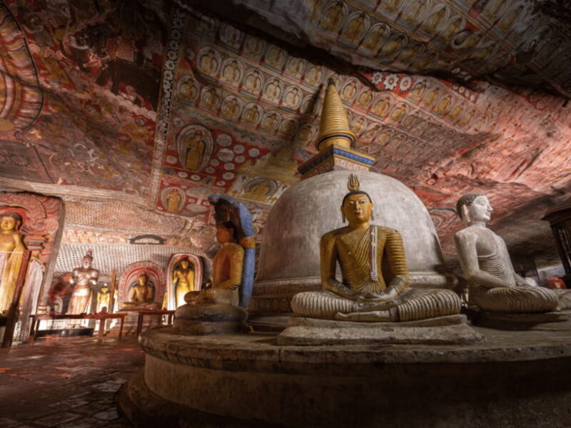 11 Days Sri Lanka Tour With Private Chauffeur & Vehicle - What Makes This Tour Stand Out