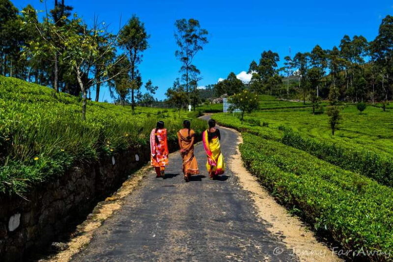 2-Day Ella Tour: Diyaluma Falls Horton Plains & Scenic Train - Who Should Consider This Tour?