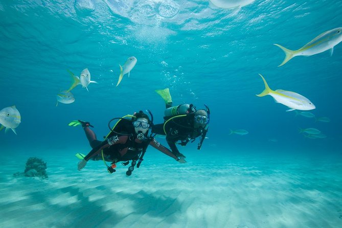 2 Day PADI Scuba Diver Course in Puerto Rico, Gran Canaria - FAQs