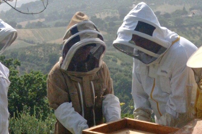 2 hours Beekeeping and Honey Tasting Activities in Assisi - Exploring the Beekeeping Tour in Assisi