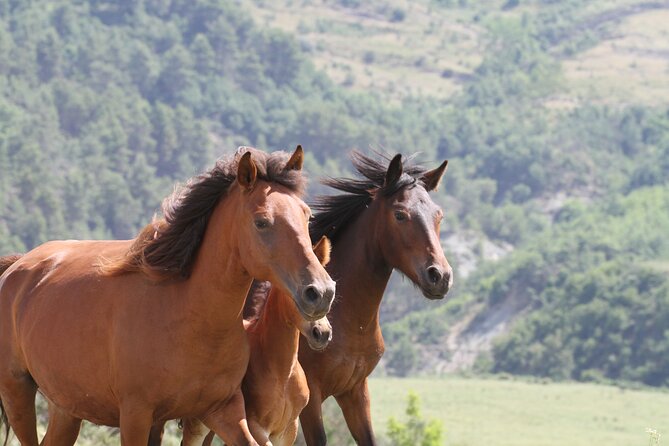 2-Hours Guided Drino's Valley Ride - The Sum Up: Who Will Love This Ride?