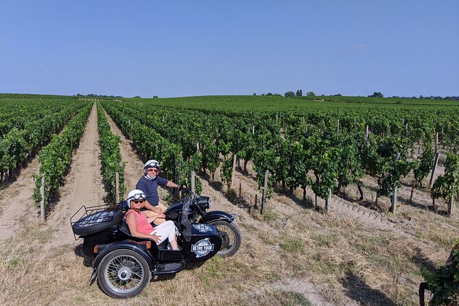 2 in 1 - Visit of Bordeaux and excursion in a vineyard - Analyzing the Value