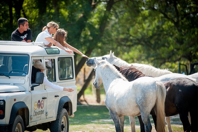 3.5 Hour Camargue 4x4 Safari from Le Grau-du Roi - What Reviewers Say