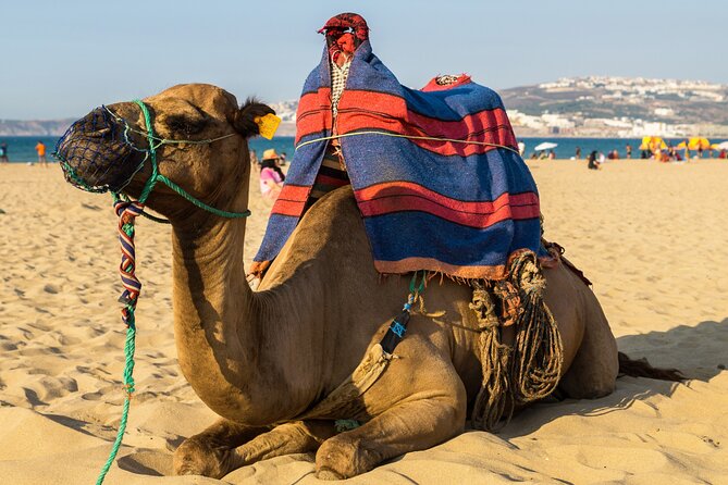 3 Countries in 2 Days: Spain, Gibraltar & Morocco with Hotel - The Sum Up
