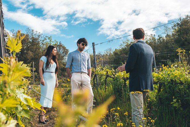 3-day private experience as a winemaker at a wine resort in Tuscany - FAQ