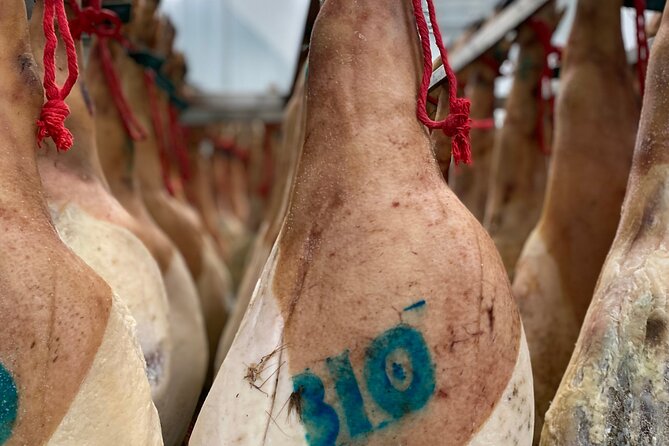 3-Day Rural Experience in the Valley of Ocón - Why This Experience Works