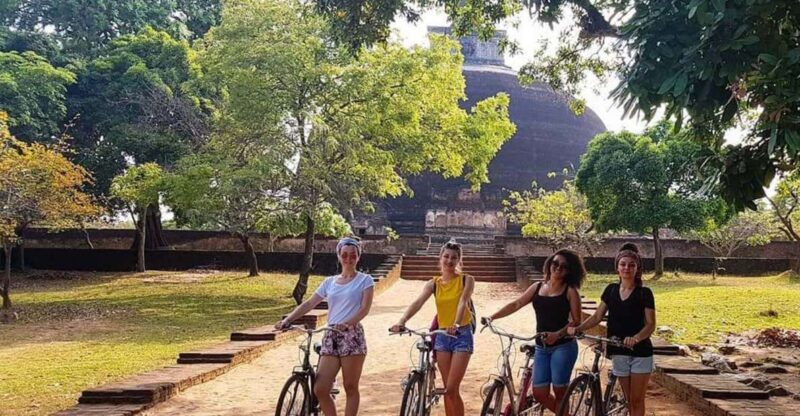 3 Days Cultural Triangle Tour - Day 1: From Colombo to Dambulla — Culture and Spice