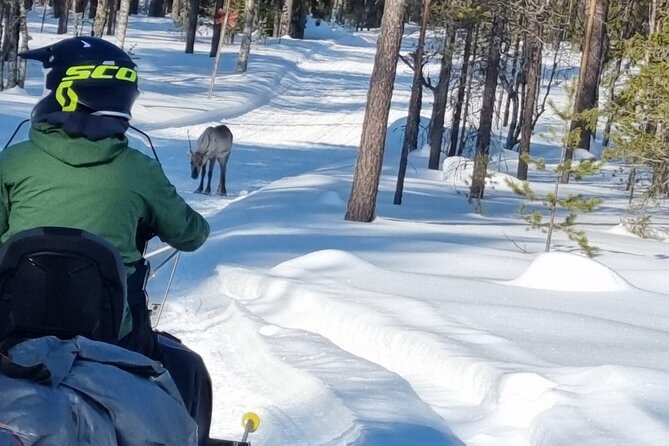 3 Days Raid Snowmobile in Finnish Lapland - Analyzing the Value and Suitability