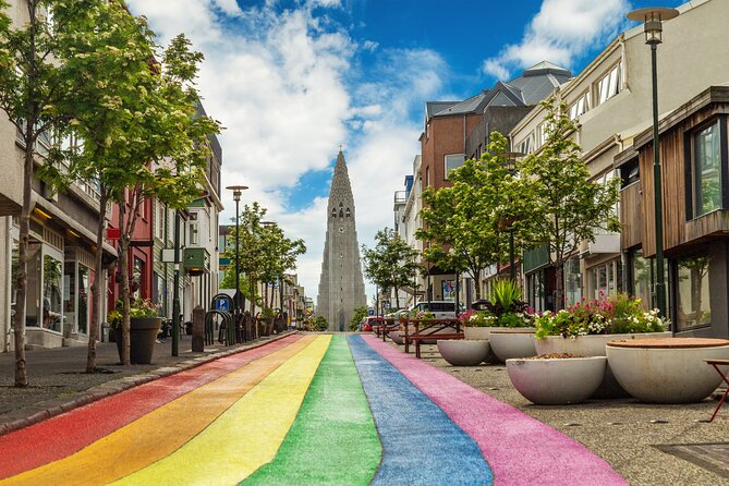 3 Hour Private Reykjavik Driving Tour - Who Will Love This Tour?