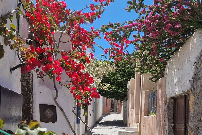 3 hours Panoramic Tour to Oia - Cost and Value