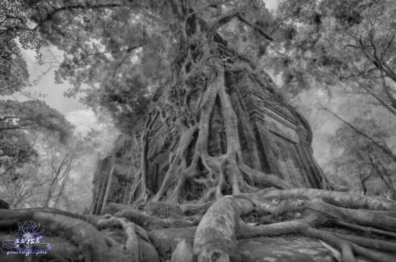 4-Day Angkor Wat, Kulen Mount, Koh Ker Group & Beng Mealea - Practical Details and Value
