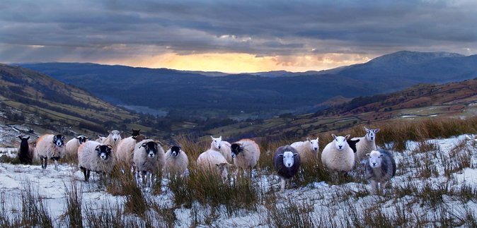4 hour Private Lake District tour (tour B) - Final Thoughts