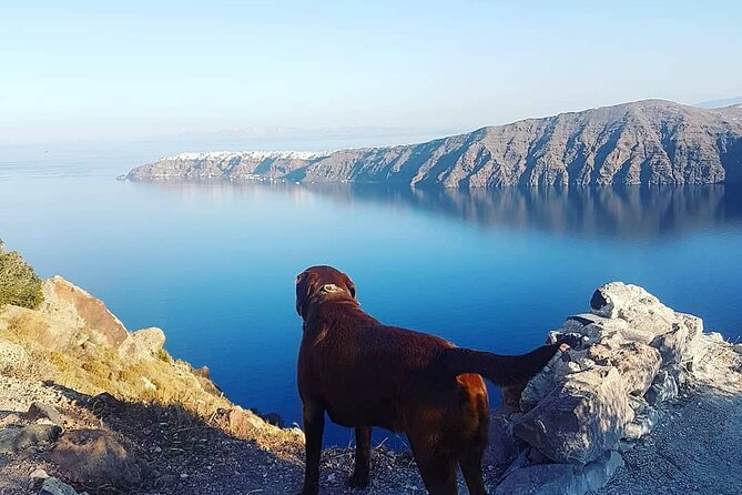 5-Hour Private Custom Santorini Tour - Who Will Enjoy This Tour?