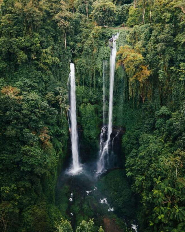 7 Hiden waterfalls and Luwak Coffee Visit - Who Should Consider This Tour?