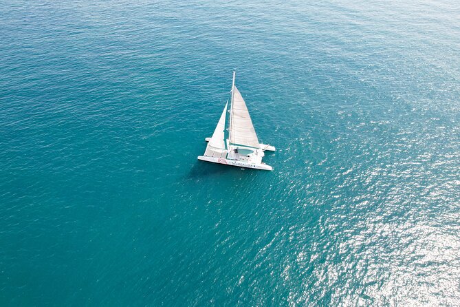 A day at Sea aboard Mundo Marino Catamaran in Valencia - FAQ