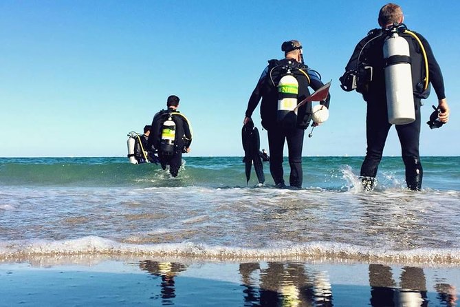 A day at the beach and diving - Authentic Feedback from Travelers