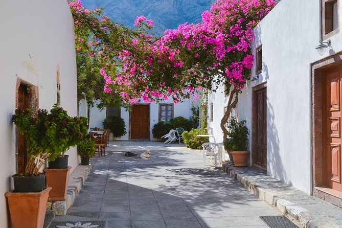 A full 8 hour Santrorini Tour (private) - Authentic Experiences and Genuine Value