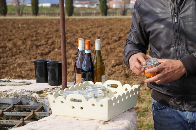A Journey Into Wines Tastes and Aromas - The Experience Environment