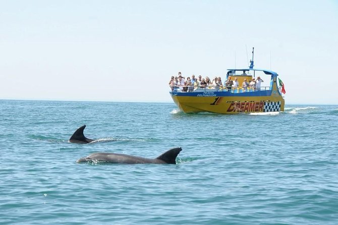 Albufeira Dreamer Boat Trip - The Cave Visits: What’s Realistic?