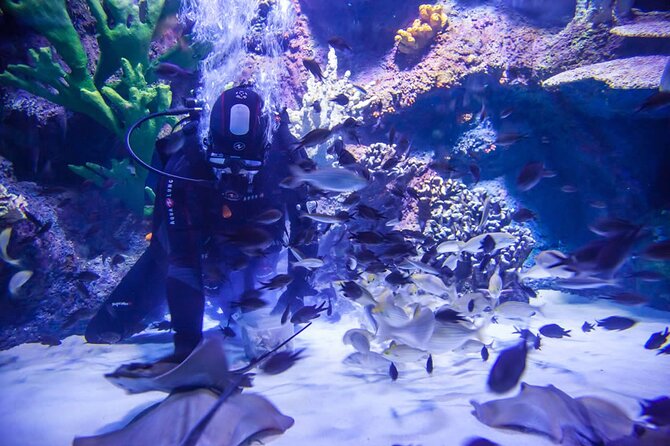 Alexander Waterfall and Antalya Aquarium Day Tour from Side - What Travelers Are Saying