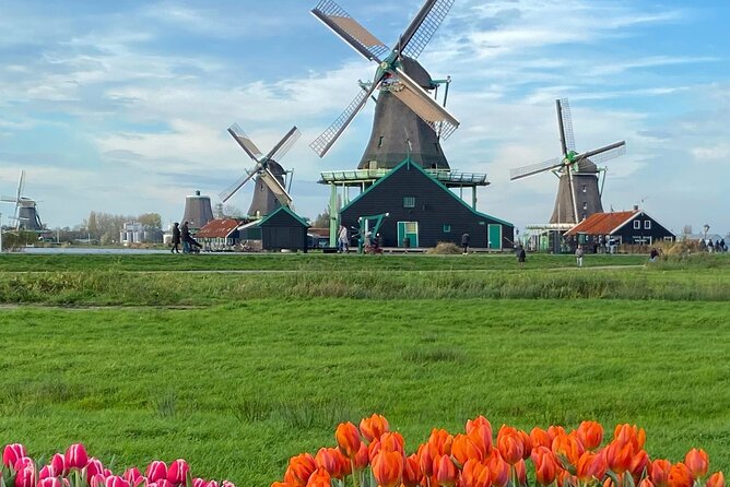 Alkmaar Cheese Market, & Zaanse Schans Guided Day Tour - The Feedback and How It Matters