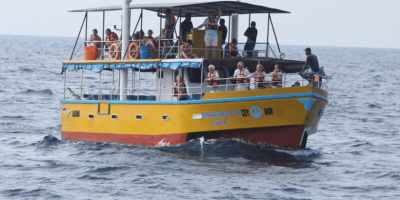 All Inclusive Mirissa Whale & Dolphin Watching + Snorkeling - How Does It Value?