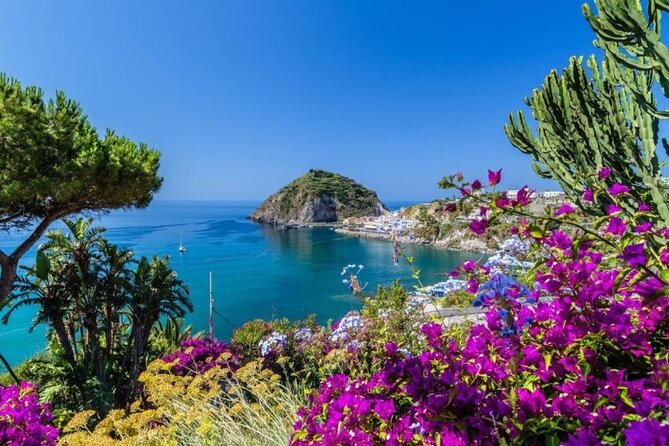 All Inclusive Private Luxury Boat Tour Ischia & Procida from Rome - Authentic Experience and Genuine Value