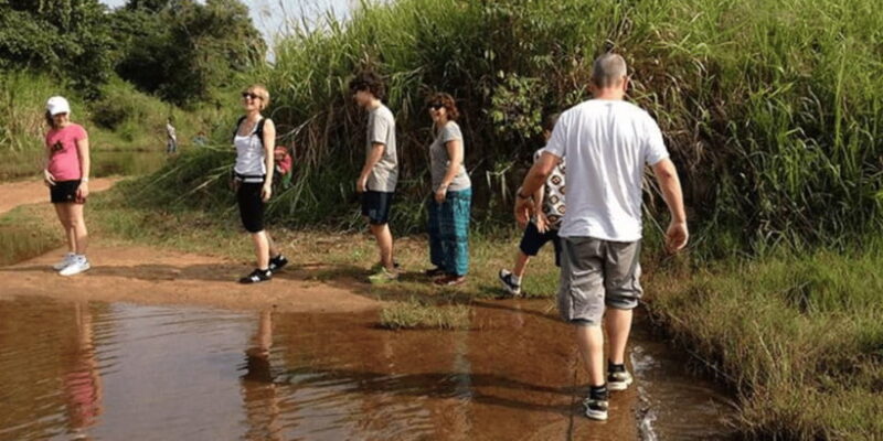All-Inclusive Sigiriya Village Tour with Traditional Lunch - The Value of the Experience