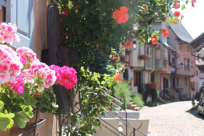 Alsace Wine Route Small Group Half-Day Tour with Tasting from Strasbourg - Final Thoughts