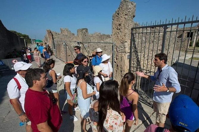 Amalfi Coast to Naples Transfer and 2-Hour Pompeii Private Tour - The Itinerary in Detail
