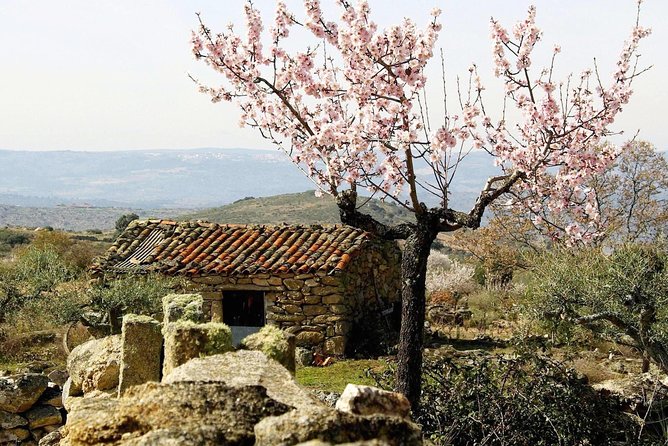 Amendoeiras em Flor - Final Thoughts: Who Should Consider This Tour?