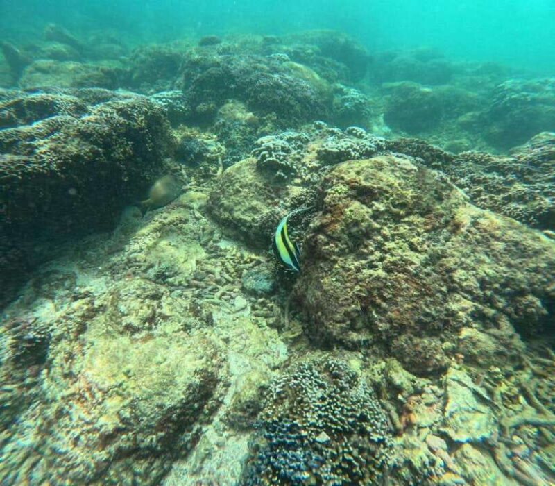 Angel Rock Snorkeling Private Trip - What to Expect: The Visual and Practical Details