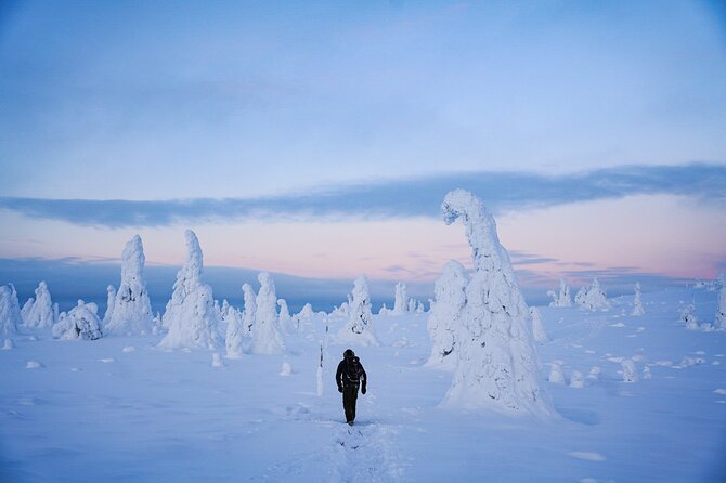 Arctic Adventure through Magical Frozen Forests of Riisitunturi - A Journey into Lapland’s Winter Wonderland