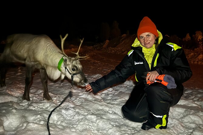Arctic Adventure with Reindeer and Northern Lights Hunt 18:30 pm - Authenticity and Review Highlights