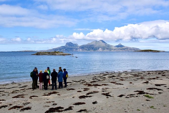 Arctic Coastal Walk - Authentic Experiences from Fellow Travelers