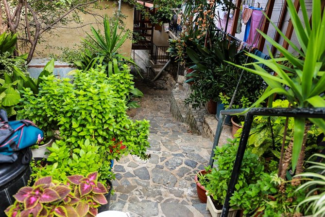 Authentic Gourmet Tour with Wine and Food Tasting from Paphos - Practical Details and What It Means for You