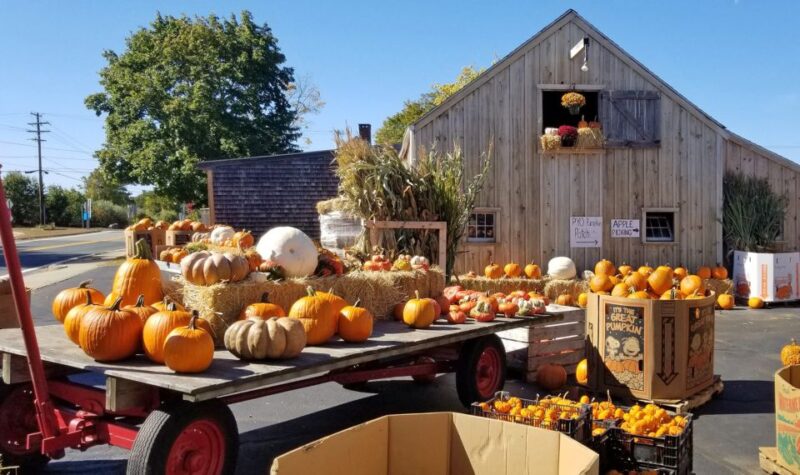 Autumn in New England - The Experience and Its Value