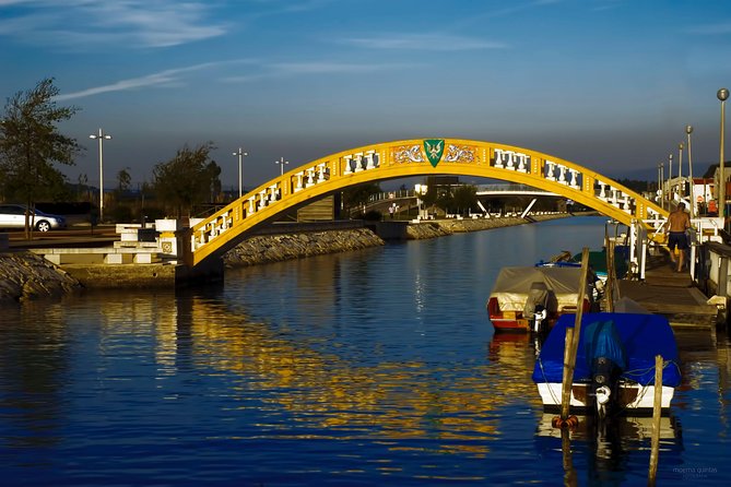 Aveiro Small-Group: Half Day Tour with Boat Ride - A Closer Look at What You’ll Experience