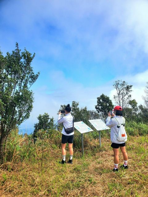 Bach Ma National Park Trekking Tour 1 Day From Hue City - Conquering Bach Ma Peak